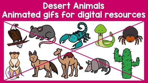 Animated GIFs Desert Animals | Animal Kingdom GIF | TPT