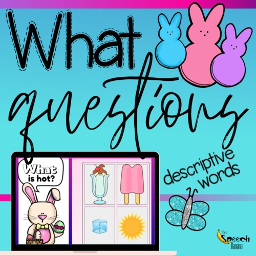 Answering WHAT Questions {Spring Theme} by The Speech Banana TpT