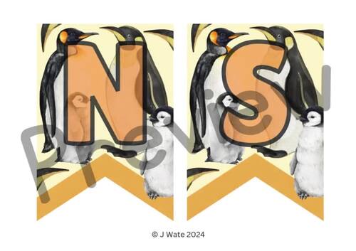 Bird Research Project | Penguin Report Writing Templates | Fact File ...