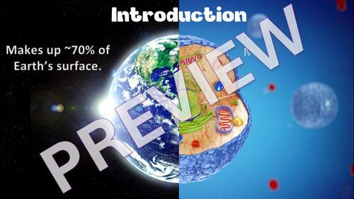 Properties of Water PowerPoint Slideshow + Interactive Guided Notes