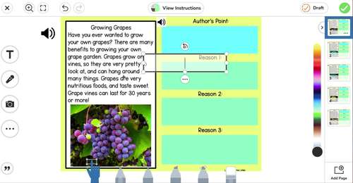 RI.1.8 1st Grade Author's Point and Reasons Seesaw and Printable ...