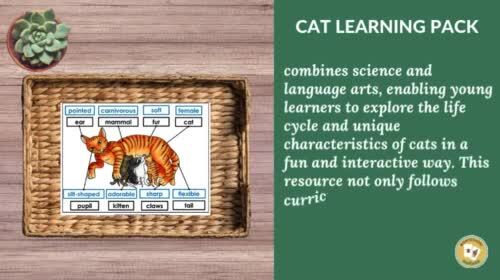 Parts of a Cat Life Cycle Types: Montessori Nomenclature 3 Part Cards Facts