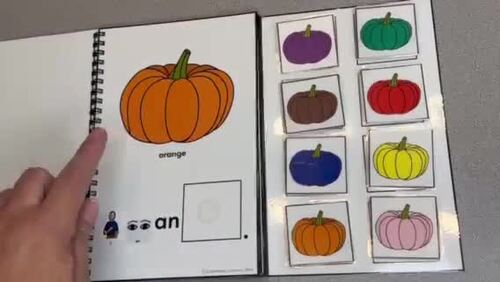 Pumpkin Color Matching Adapted Book | Fall Matching | Thanksgiving Matching