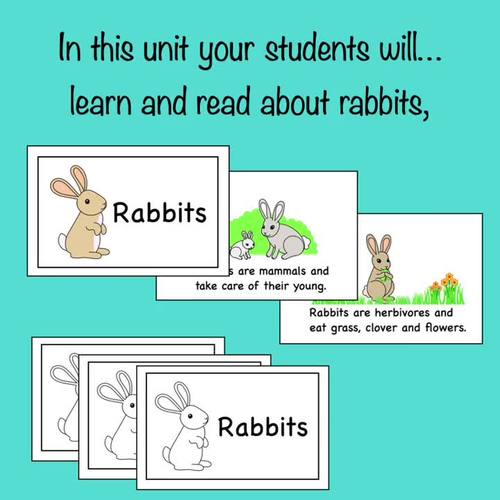 Rabbits - Nonfiction Writing Unit - for early writers and ESL students