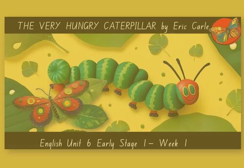 COMPLETE BUNDLE Term 2 ES1 NSW units of work. ENGLISH Component B