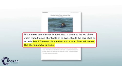 Describe Connections Between Individuals, Events, Ideas, or Information