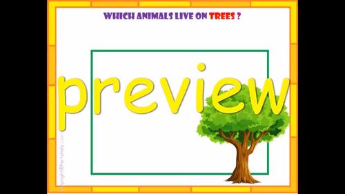 Animal Homes–Where do they live? Worksheet Activities. POWERPOINT
