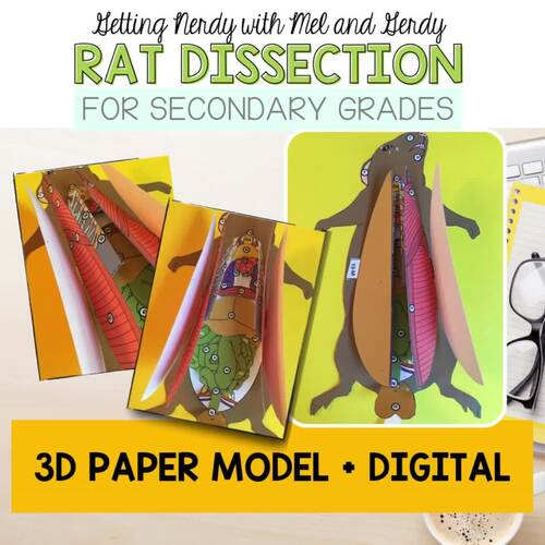 Rat Dissection Zoology | Biology 3-D Anatomy Paper Dissection Model ...