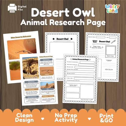 Desert Owl Animal Research Page | Bird Life Cycle & Habitat | Print & Go