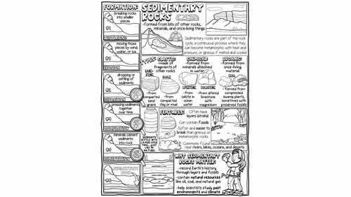 Sedimentary Rocks Doodle Notes & Quiz | Weathering • Erosion • Compaction