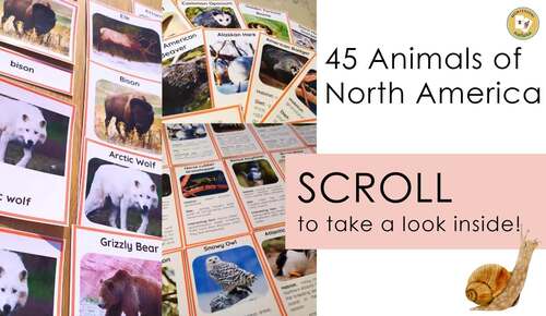 45 Animals of North America: Montessori 3-Part Cards and Information