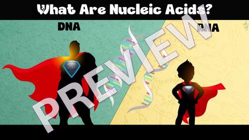 Nucleic Acids and DNA Structure & Function PowerPoint Slideshow | TPT