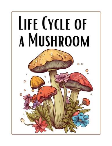 Life Cycle of a Mushroom Printable | Mushroom Life Cycle Worksheets | Fungi