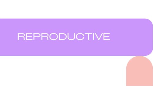 Reproductive System Disorders Lesson Powerpoint Study Guide Science Nursing