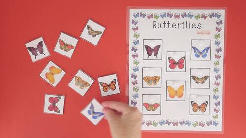 Butterfly Matching Activity Sheet, Match the Patterns, Spring Garden ...