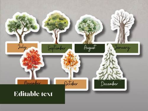 Birthday calendar for a forest themed classroom by My classroom dream