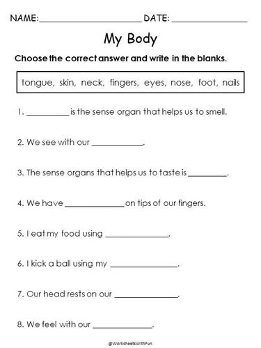 Parts of the Body, Human Body Parts Worksheets, 5 Senses, Grade 1 ...