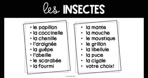 French Insect Research Project | Printable & Digital | Distance Learning