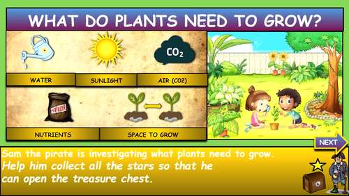 What Do Plants Need To Grow? Unit: Presentation|Drag & Drop|Puzzles ...