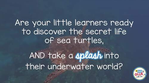 Life Cycle of Sea Turtles Science Unit for Preschool, Pre K: Crafts ...