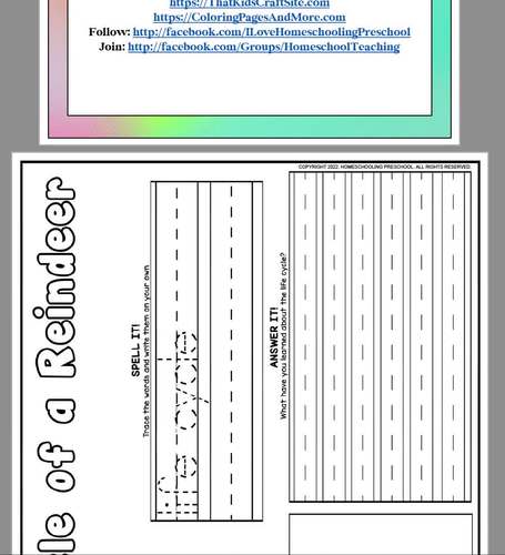 Reindeer Life Cycle Activity Sheets by HomeschoolingPreschool | TPT