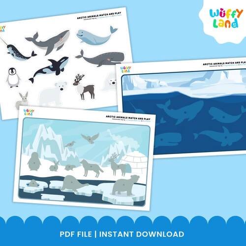 Arctic Animals Shadow Matching | Winter Cut and Paste Fun Puzzle by ...