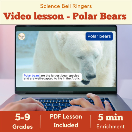 Science bell ringer video (4 min) - Polar bears - Middle school | TPT