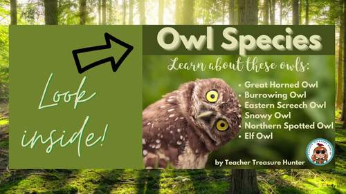 Owl Writing Activity Read and write about 6 owl species | TpT