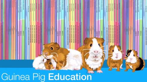 Learn The Aphabet With Zoggy (4-7 years) by Guinea Pig Education