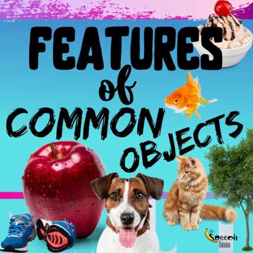 Features of Common Objects by The Speech Banana TpT | TPT