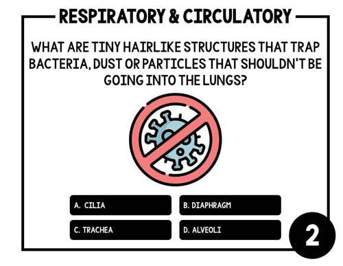 Respiratory System and Circulatory System Task Cards | Print and ...