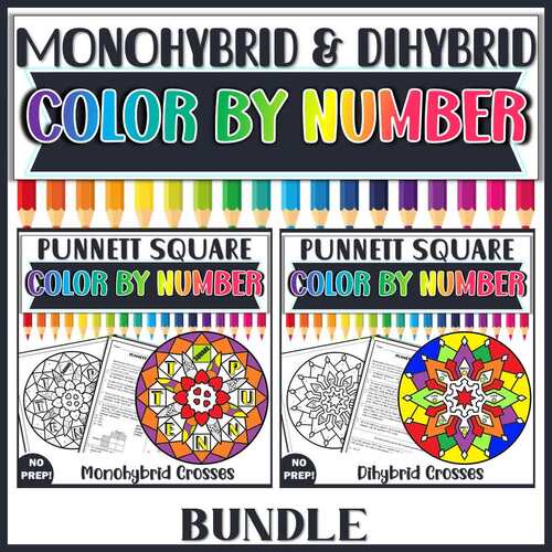 Monohybrid & Dihybrid Crosses Color by Number Bundle | Punnett Squares ...