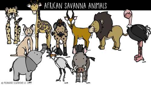 African Savanna Animals clip art, Zoo Animals clip art COLORED Version