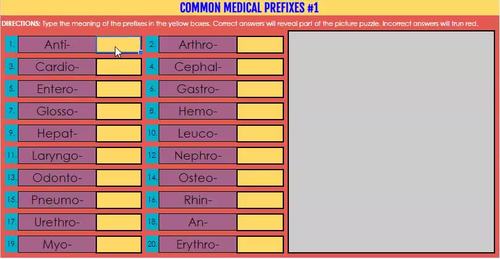 Medical Terminology Prefixes Mystery Picture Reveal by Abaco Education Zone