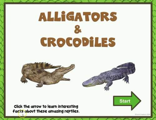 Reptiles Digital Scavenger Hunts Bundle by CarolJ Creations | TPT