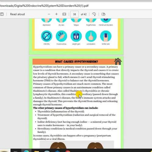 Endocrine System Bundle42page | Nursing Study Guide | Endocrine Med Surg