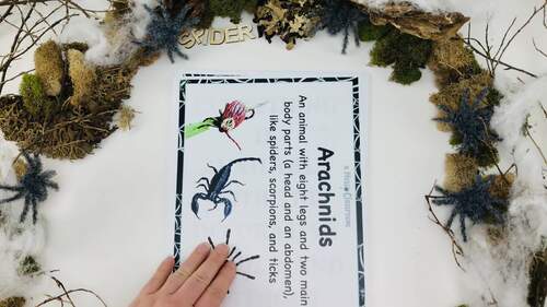 Spider Diversified Reading RI.2.9 Compare Texts W.2.2 Informative ...