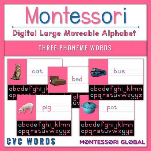 Montessori Pink Series: Montessori Moveable Alphabet - CVC Words ...