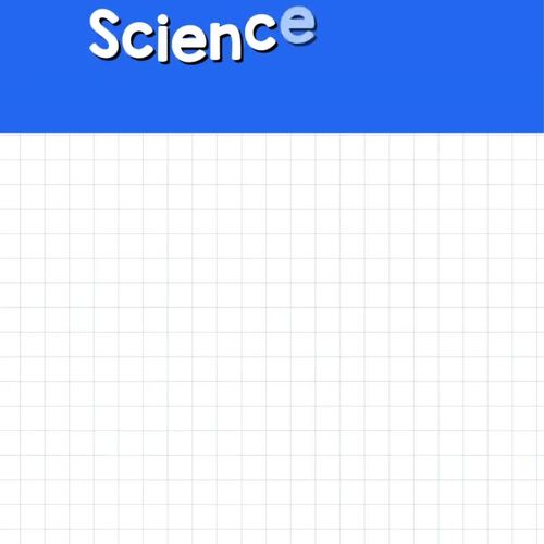 Science Bingo Game Boards Elementary STEM Tools Sub Plans | TPT