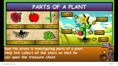 Parts of a Plant: Interactive Google Slides + PPT + 4 Worksheets