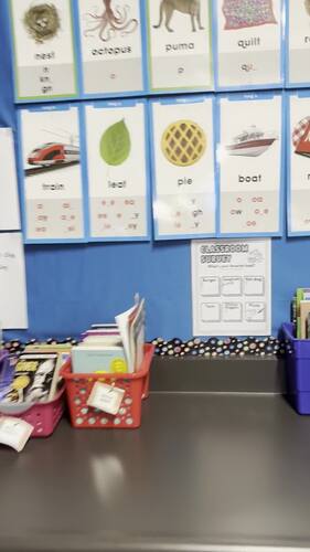 Bilingual (Spanish) Back to School Classroom Survey and Graphing Activity