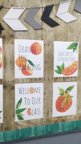 Orange Blossom Classroom Decor: CLASSROOM POSTERS by Savannah Brown