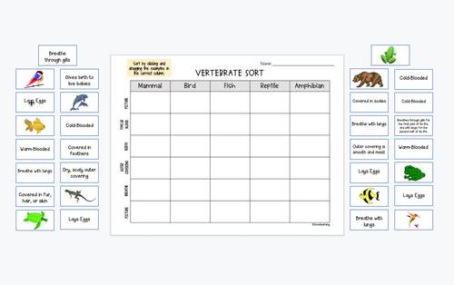 Vertebrates Sort Activity for Animal Classification - Vertebrates Worksheet