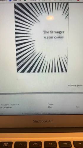 The Stranger Reading Questions by Lovejoy Literacy | TPT