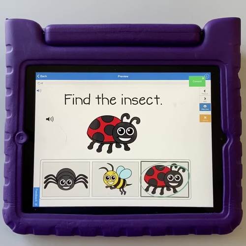 Bugs and Insects Boom™ Cards Activity by Full SPED Ahead -- Heather ...