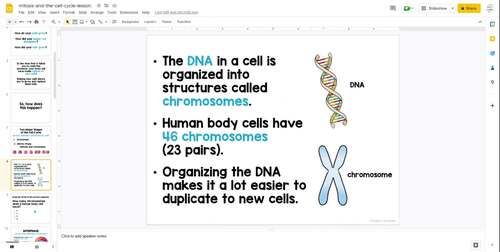 Mitosis and The Cell Cycle Interactive Lesson | TPT