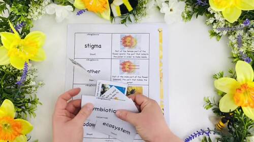 Spring Season Bundle 2nd Grade Nonfiction Reading RI.2.1 RI.2.2 RI.2.5