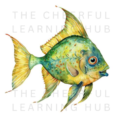 Ocean Animals Clipart | Under The Sea | Whales, Dolphins, Sharks, Fish PNGs