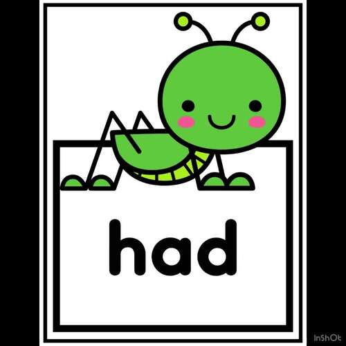 First Grade Dolch Sight Words Posters and Practice Cards | Cricket Theme