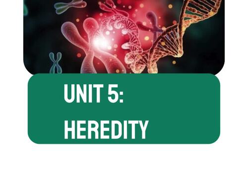 AP Biology Unit 5: Heredity Complete Unit Bundle | TPT